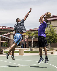 Scene: A Team of Cells